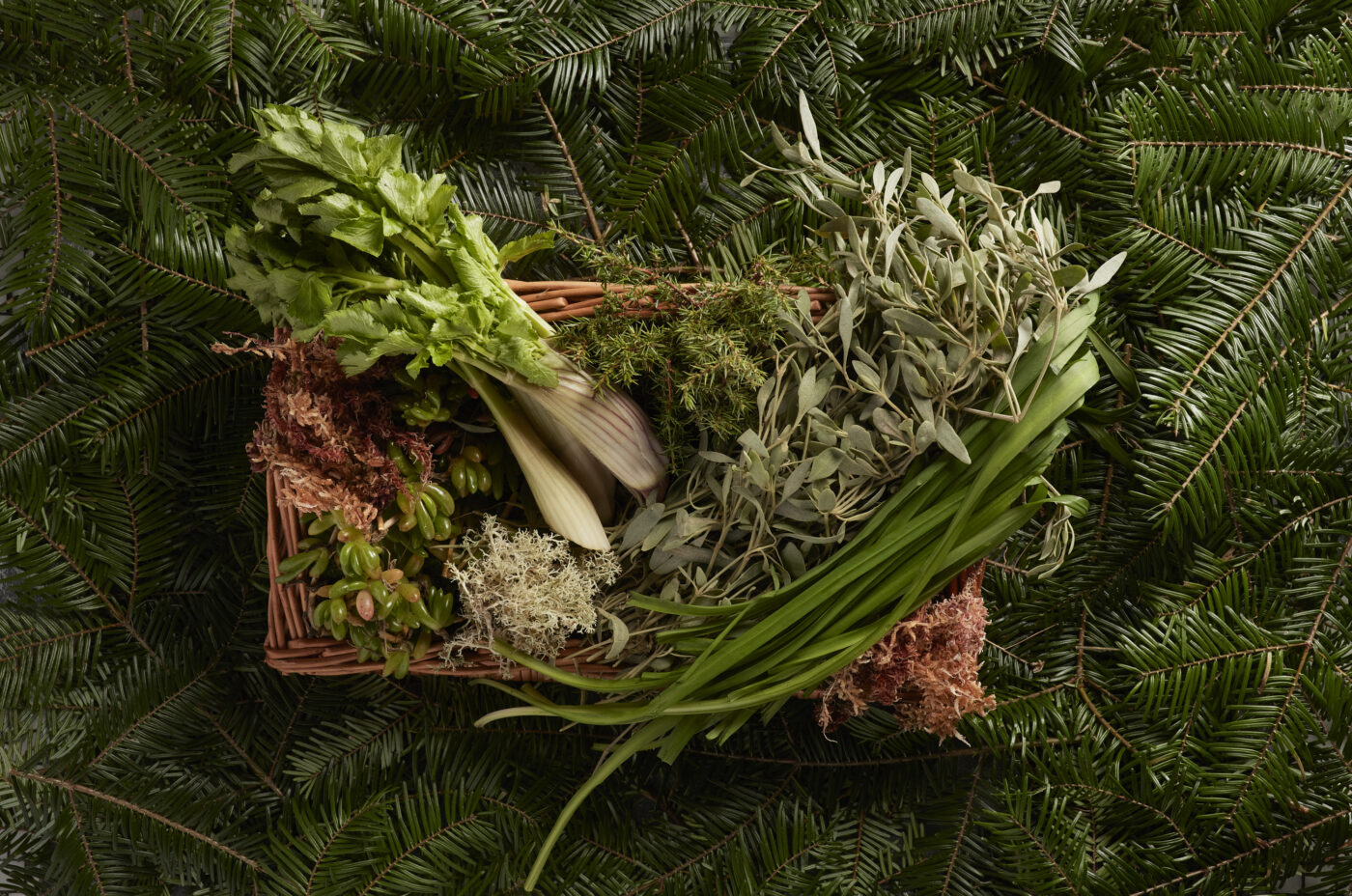 The All-New Foraged Tasting Menu | One Aldwych